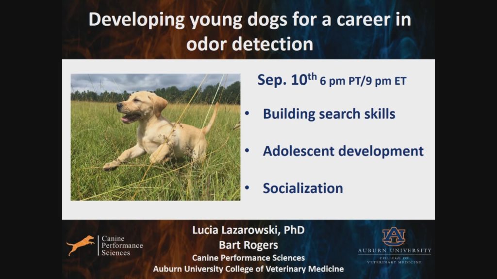 Odor Pays: Step 1 How to Introduce Odor - Ford K9