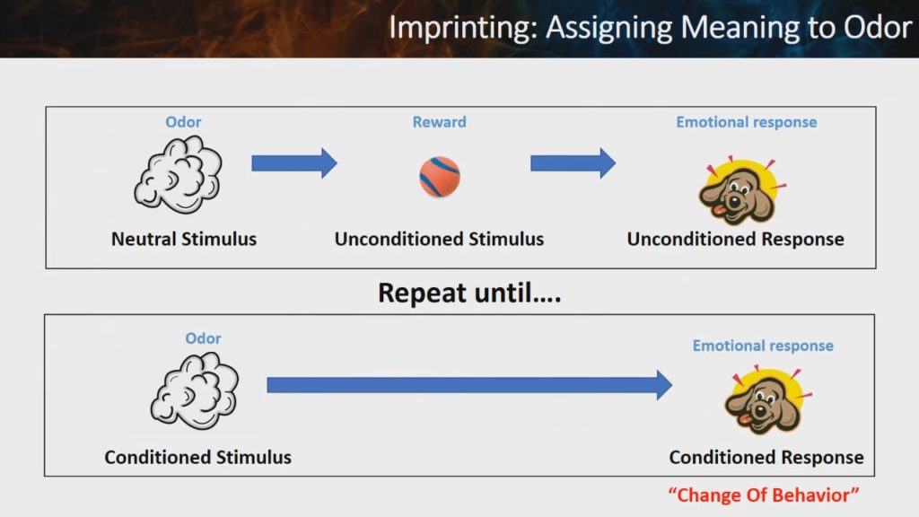 Part 4 with Dr. Lucia Lazarowski and Bart Rogers "Foundations in odor ...