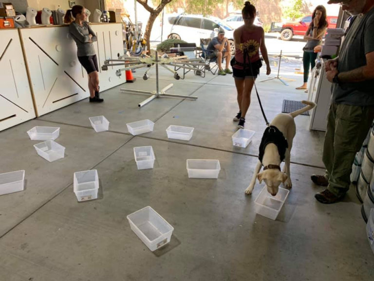 Sniff & Go - Ford K9