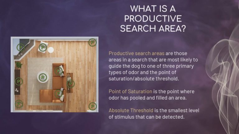 Dog Trainer School for Detection Dogs | Ford K9 LLC