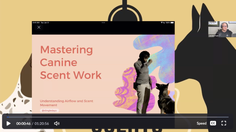 Mastering Canine Scent Work: Understanding Airflow and Scent Movement ...