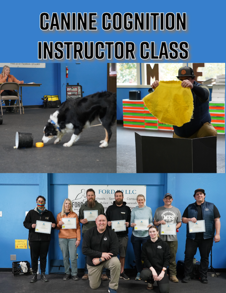 Canine Cognition Instructor - Ford K9
