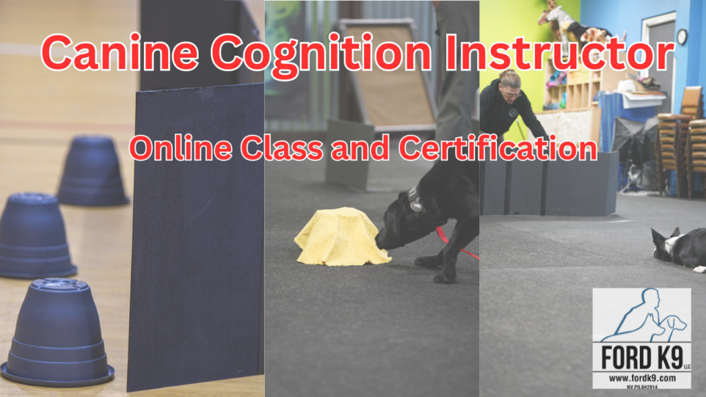 Canine Cognition Instructor Online Certification Course - Ford K9